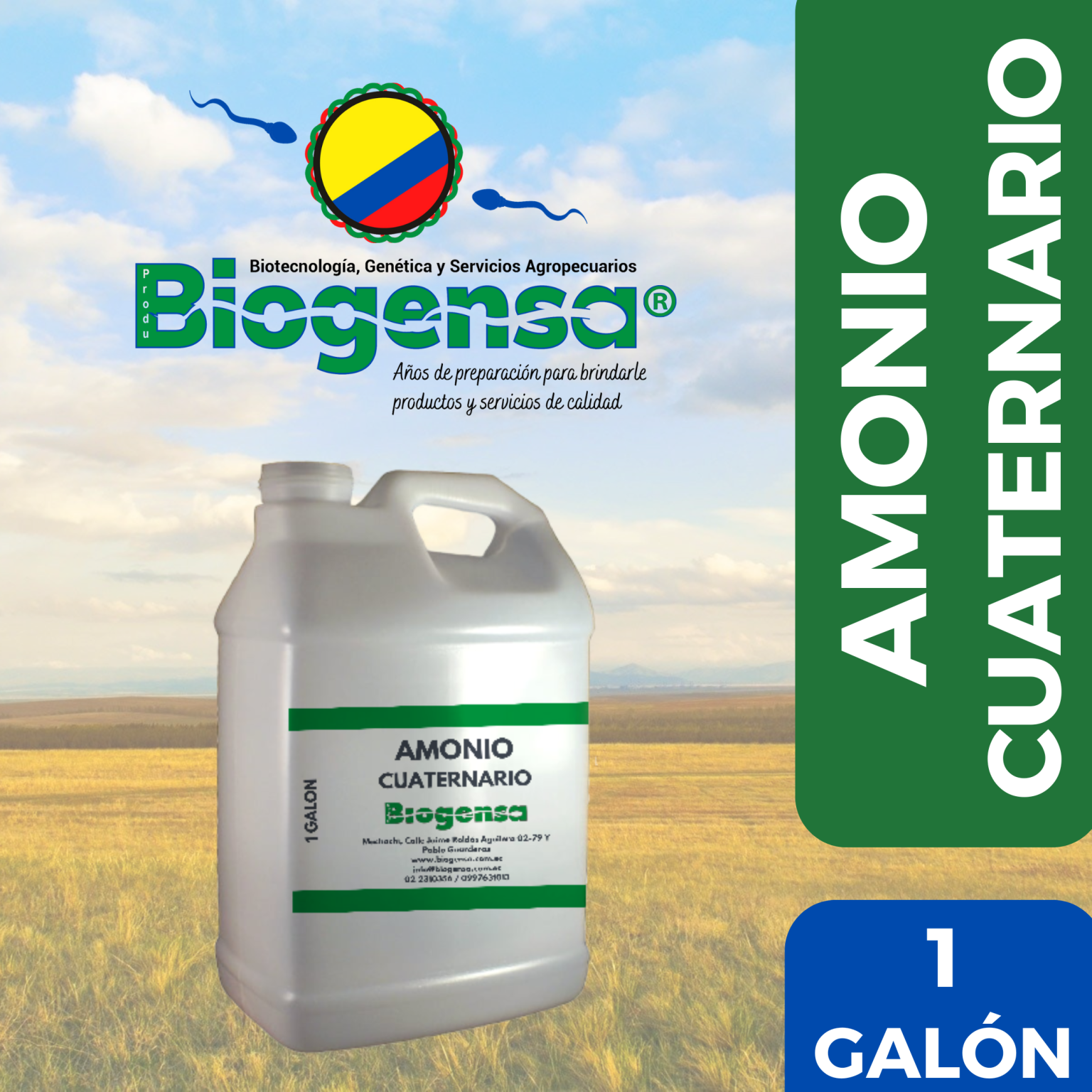 Amonio Cuaternario Galón – Biogensa